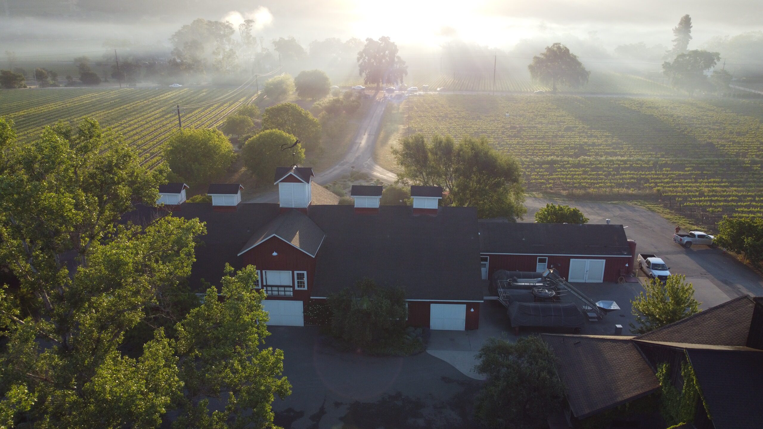 Frog’s Leap farms grapes responsibly using regenerative organic methods ...